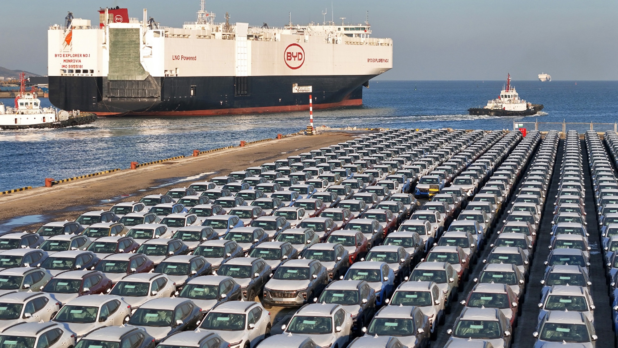 Muchos quieren ver caer a BYD, pero de momento los resultados muestran ...