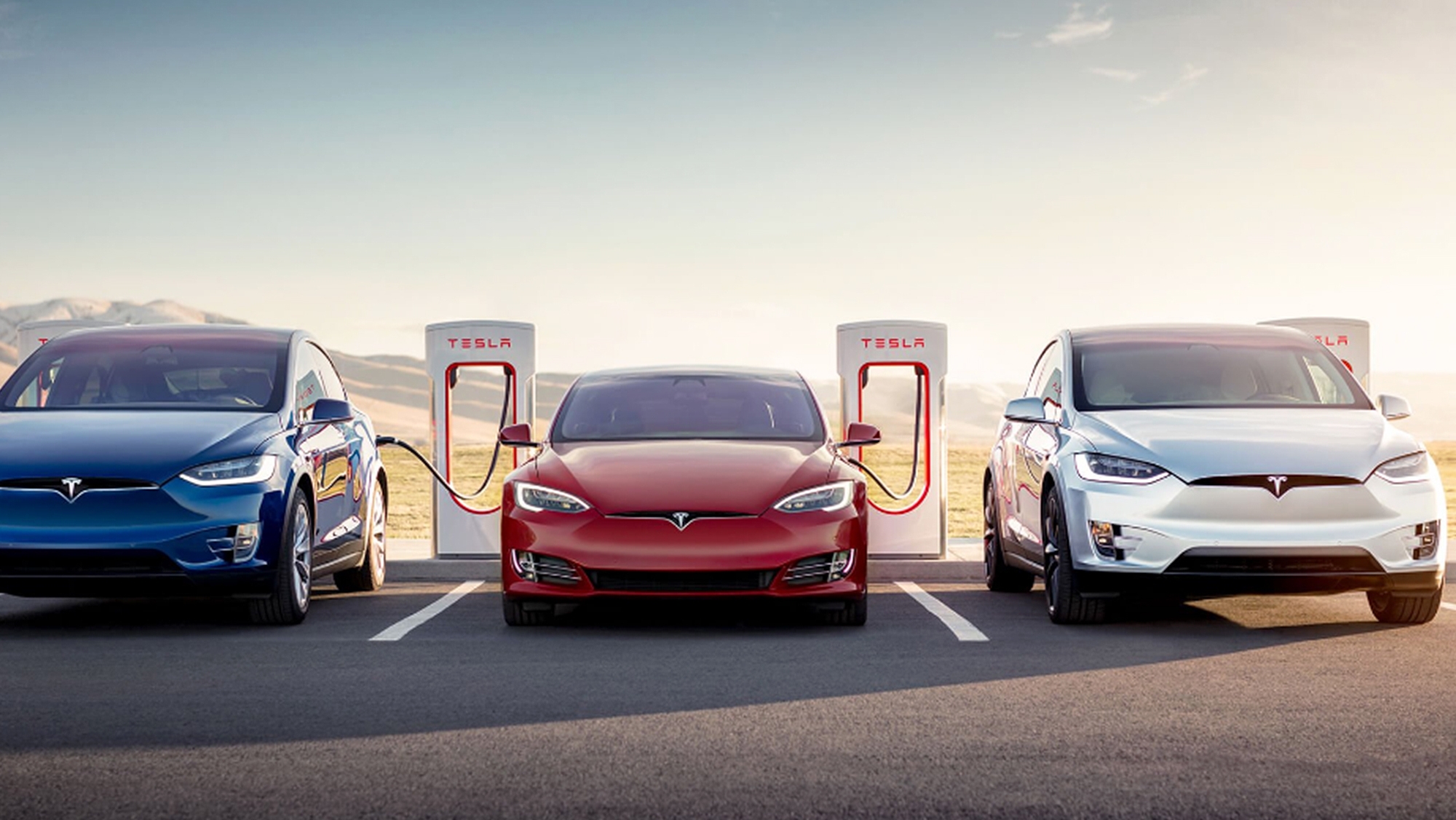 Mini stallion porn saw the reviews for agency for Angel and