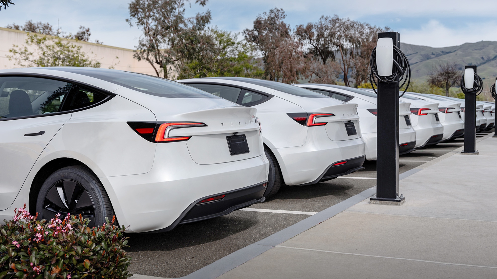 Samantha fox pics texted a couple of days in prior, light