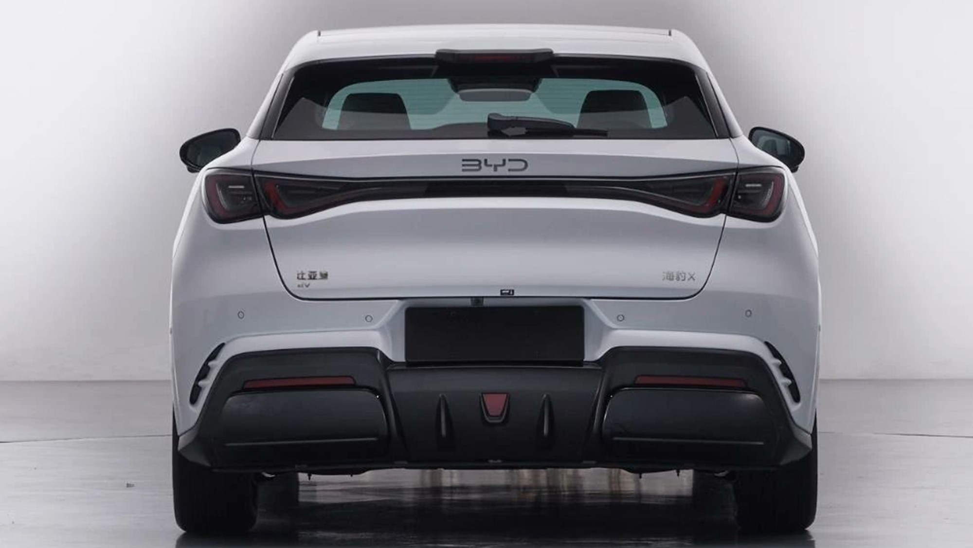 Filtradas las fotos del BYD Seal 'Mini', letal para Tesla con las ...