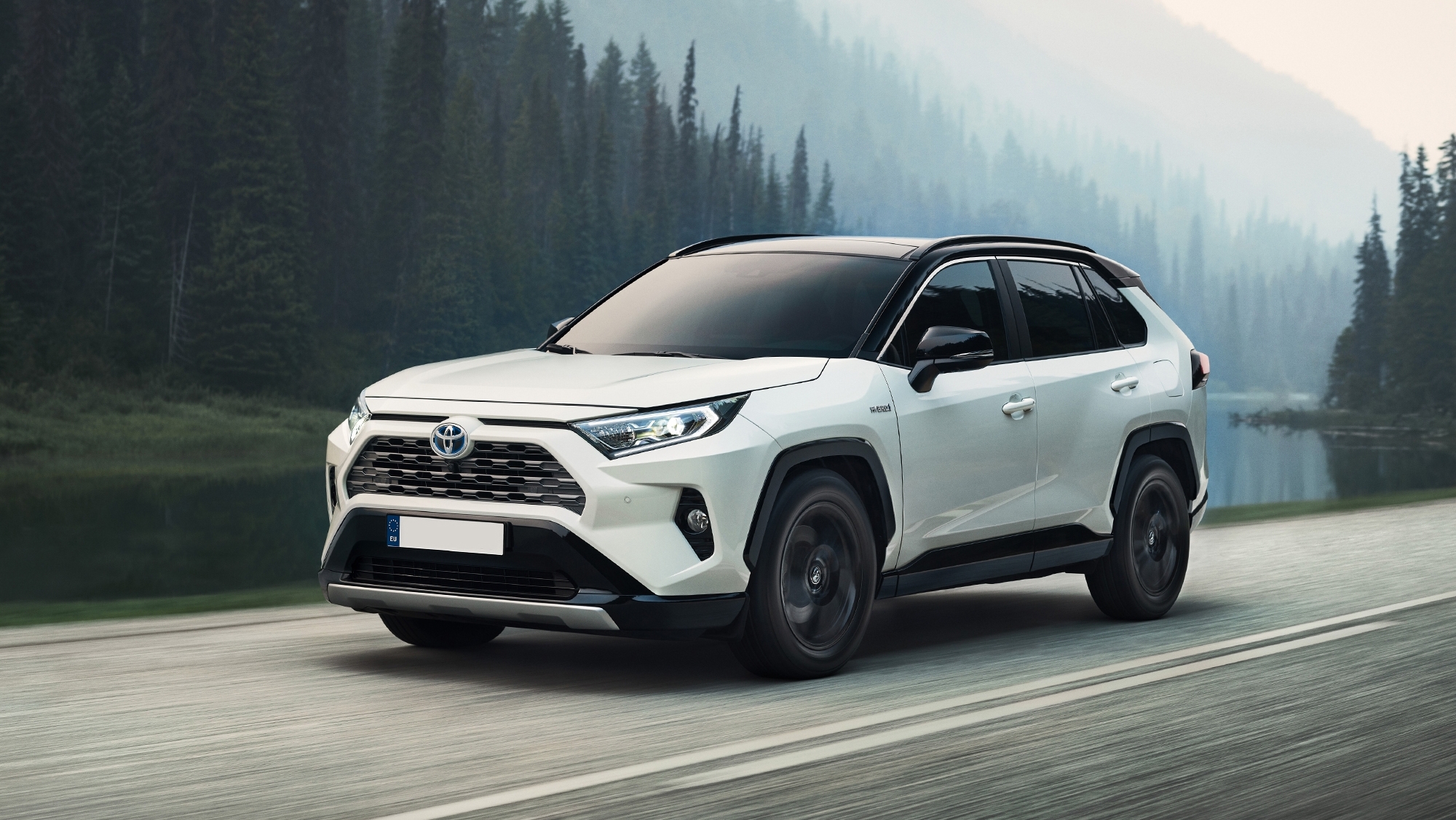 Sitemapcdatahttpsthereferenznetsize Of Toyota Rav 4