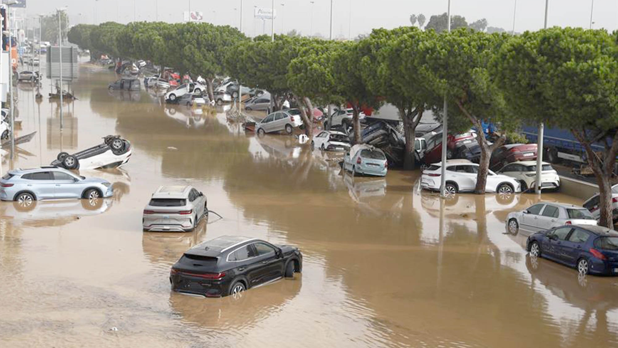 Impacto de la DANA en Valencia: ¿Cómo responden los coches eléctricos?